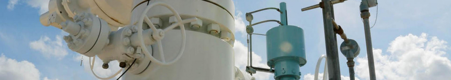 Storage Services - TBC